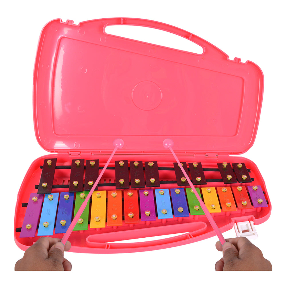 Metalófono Cromático RMX 25 Notas Fucsia con Láminas de Colores — Queen ...